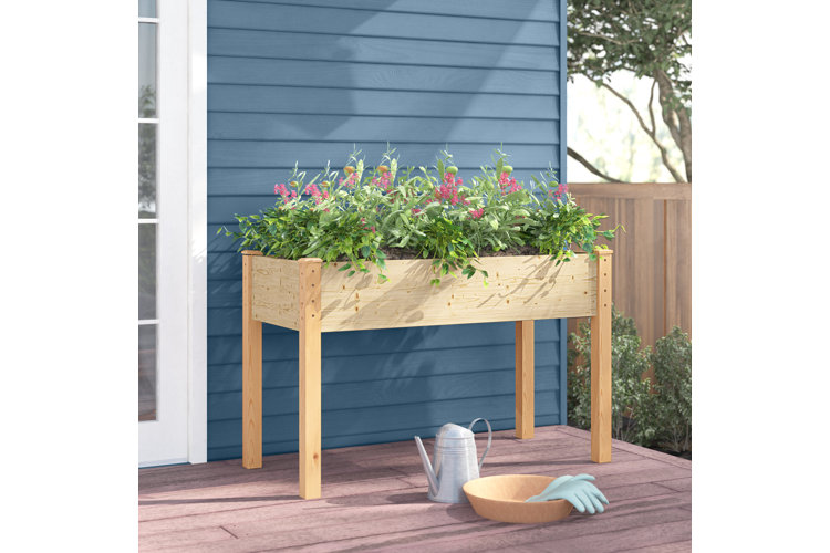 Raised garden bed wayfair store